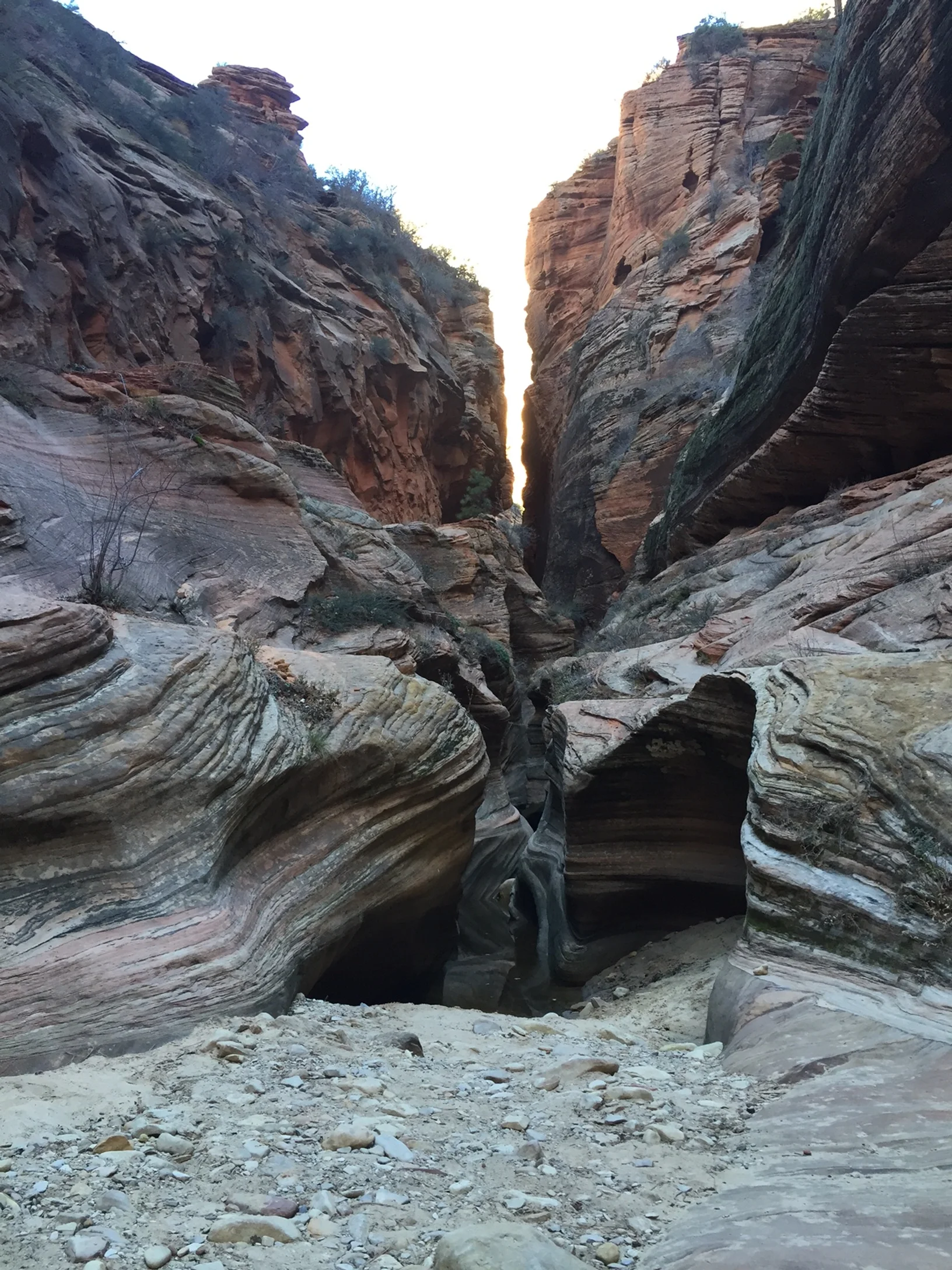 Zion National Park East Rim guest trail review — Colter Co.