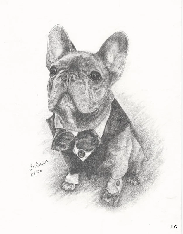 New WorkGalleries ~ Jimmy Collins Studios