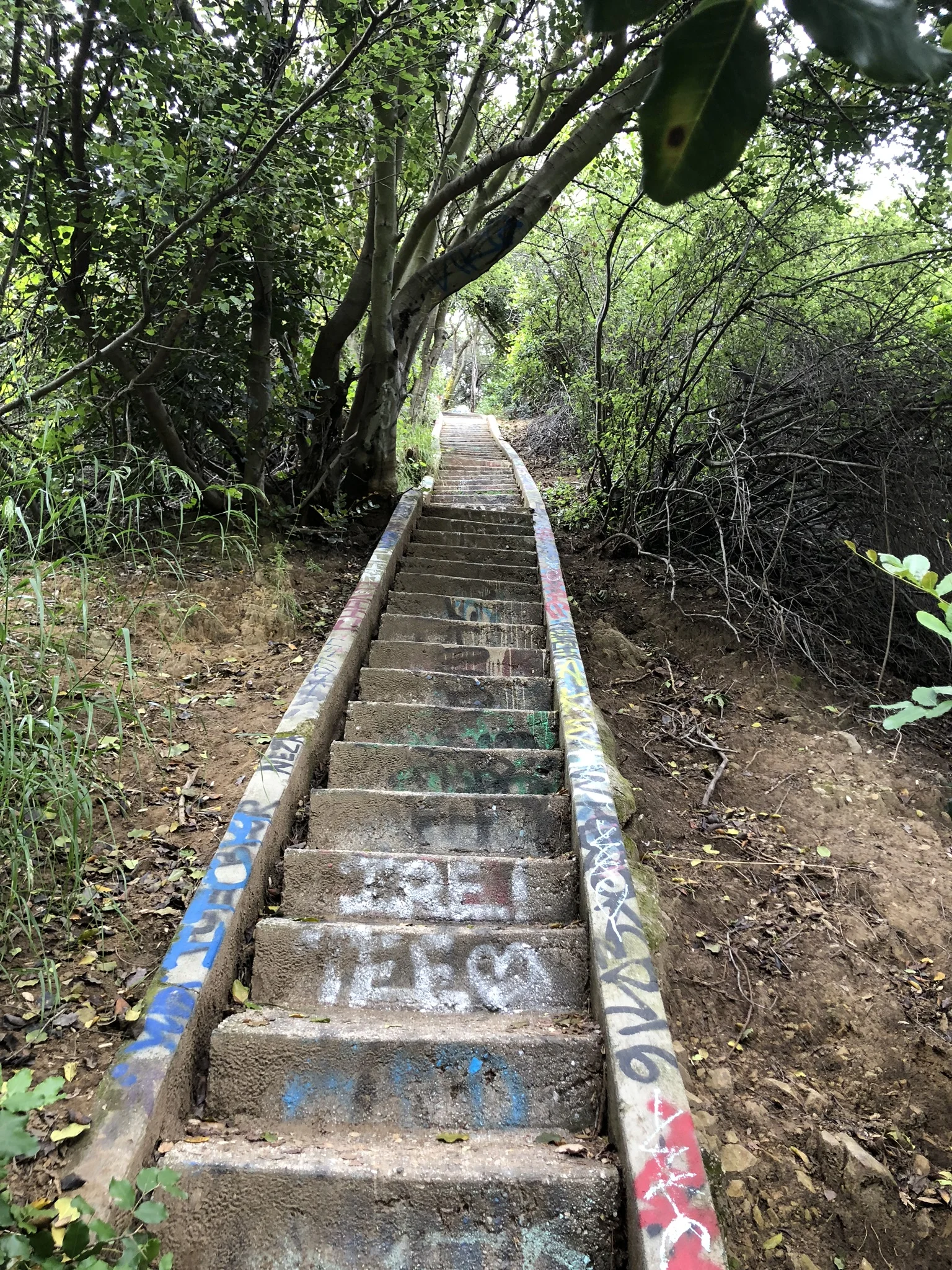 Murphy Ranch Trail - Los Angeles, CA — The Modern Female Hiker