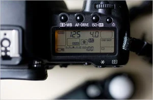 Making Your On Camera Flash Look Like A Natural! — ManikMati Photography