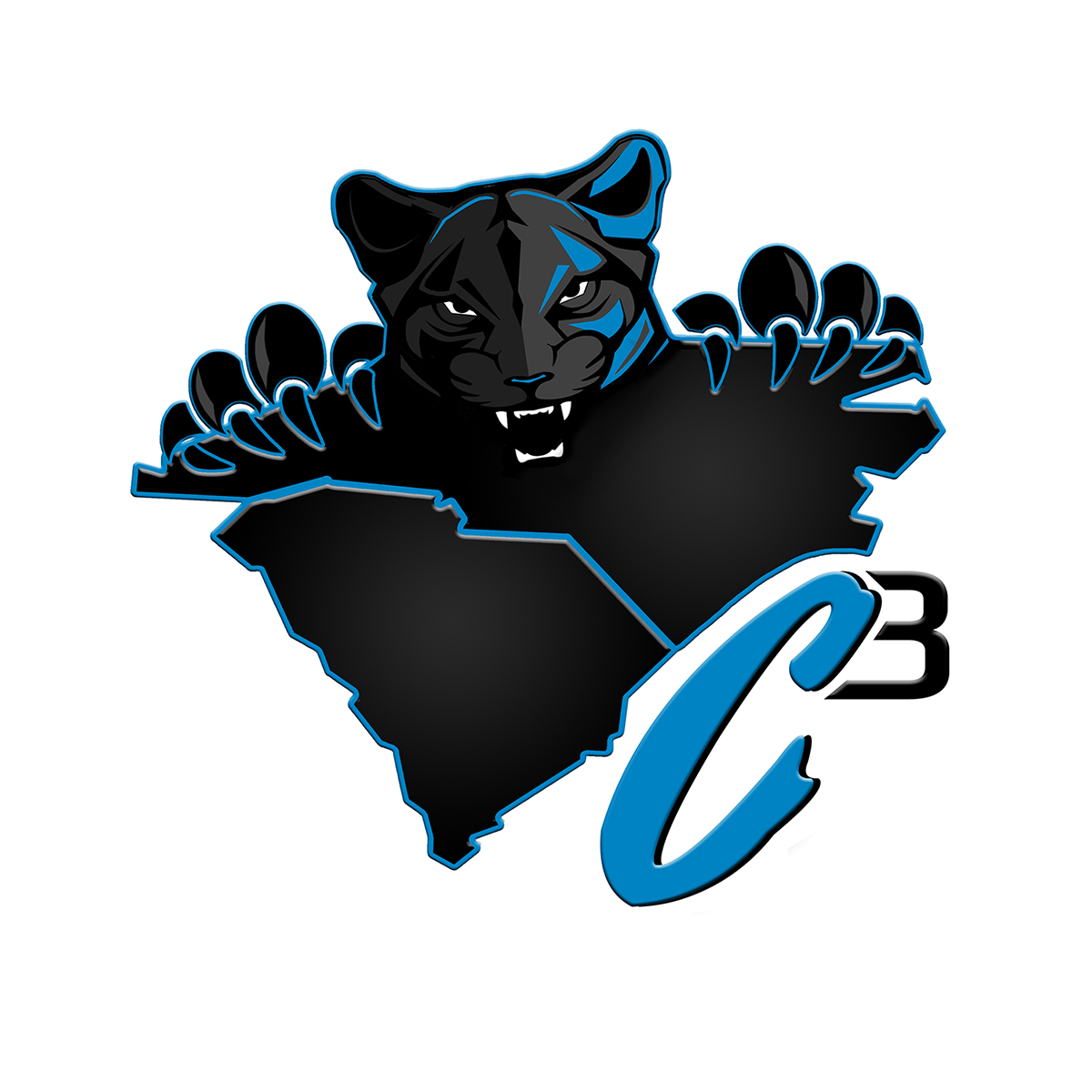 DJ Moore's Heartfelt Goodbye to Panther Nation — Carolina Cat Chronicles