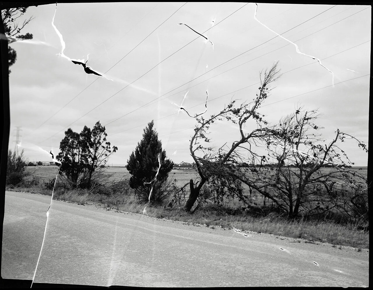 Odette England || Artist || Photographer