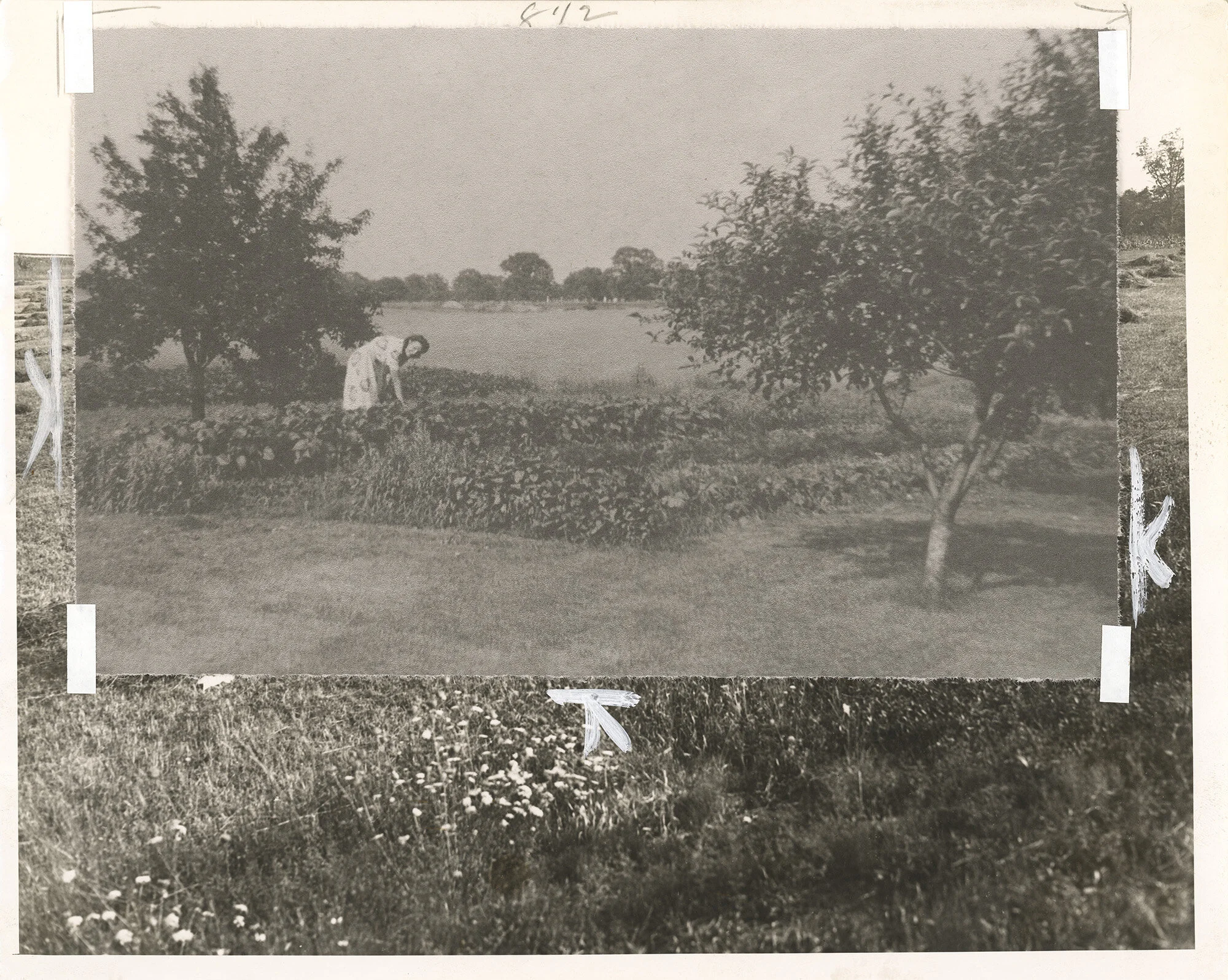 Odette England artist photographer