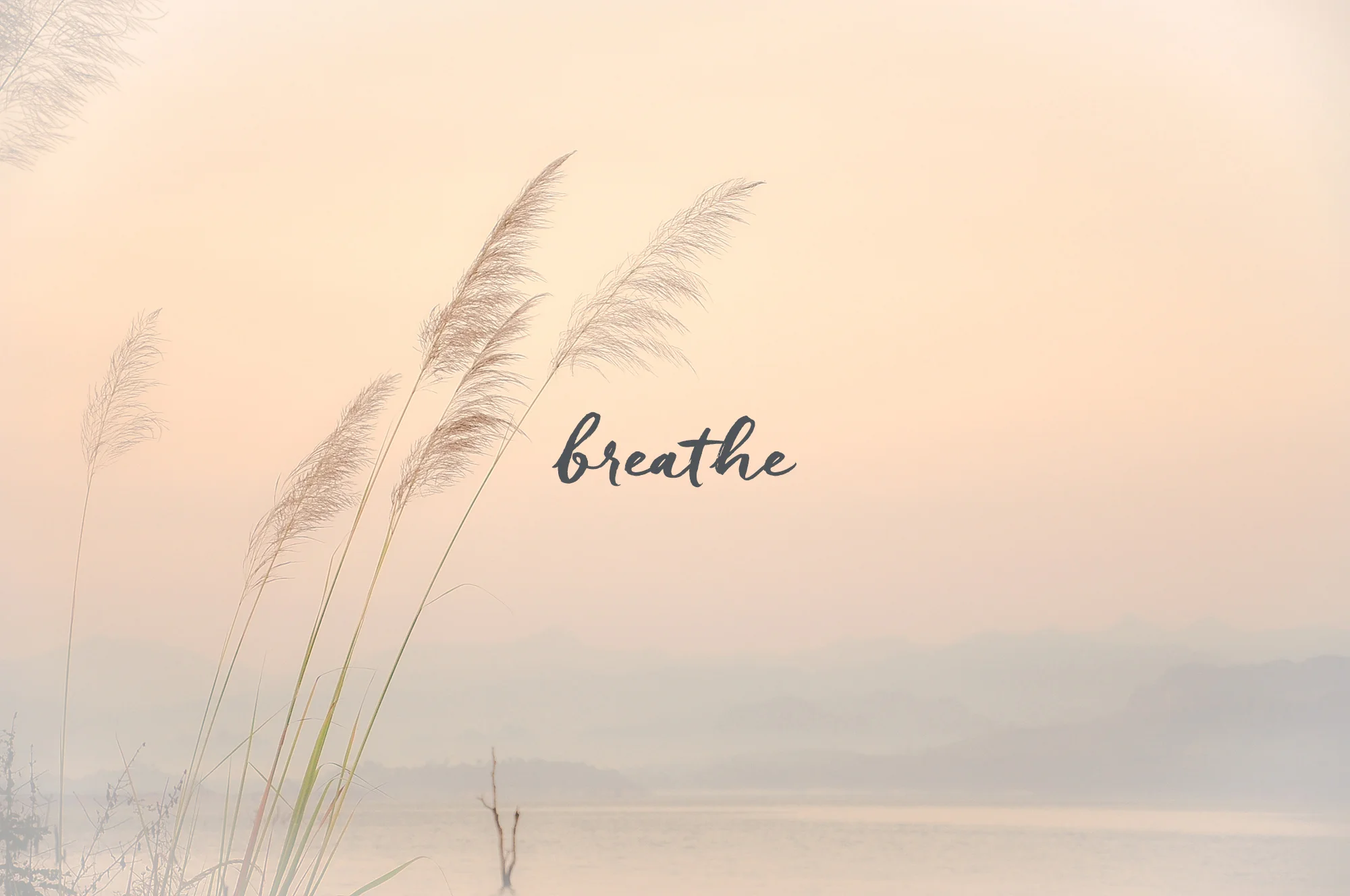 One Word for the New Year | 2018 — Harken Press