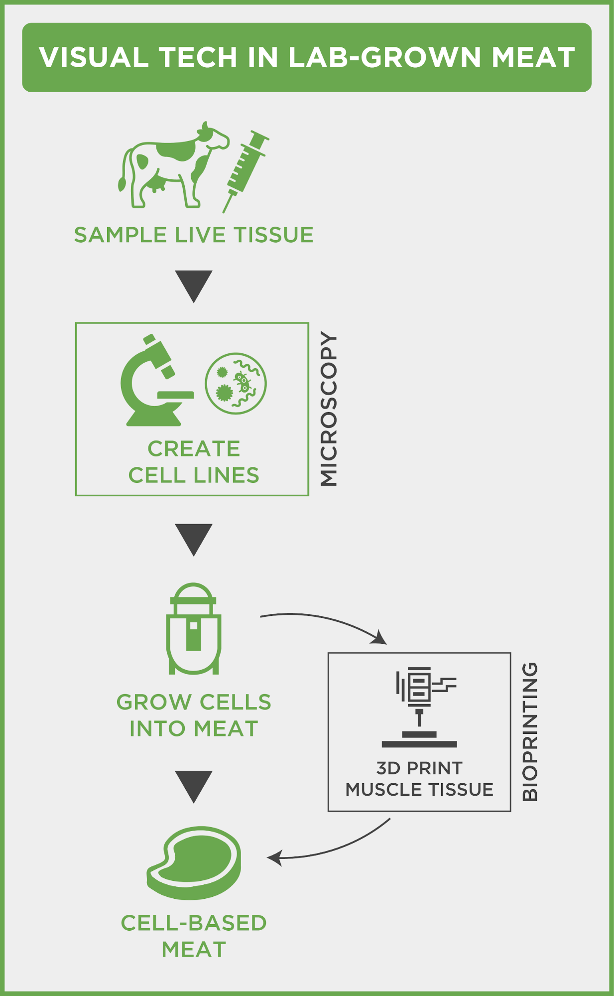 Designing the Food We’ll Eat Tomorrow: How New Proteins Are Being ...
