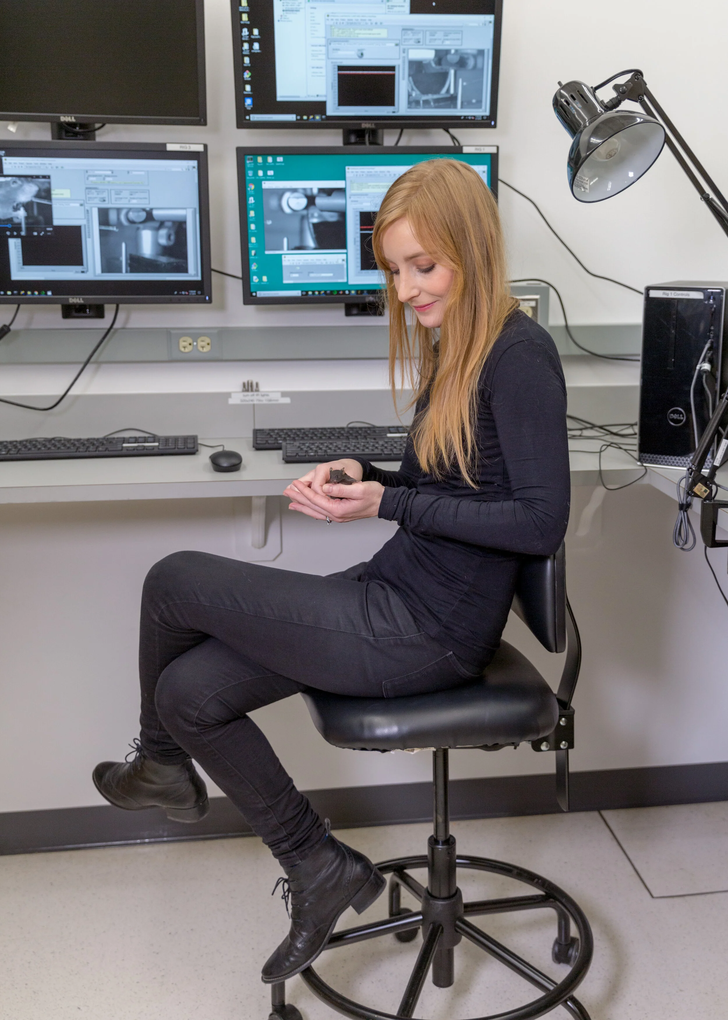 The Interesting Interplay Between Biological Intelligence & Artificial ...
