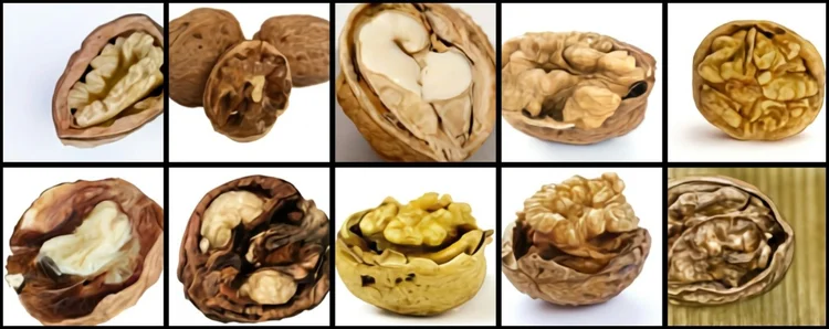 Supercharging Creativity With Open AI's GPT-3, Codex, DALL-E and DALLE ...