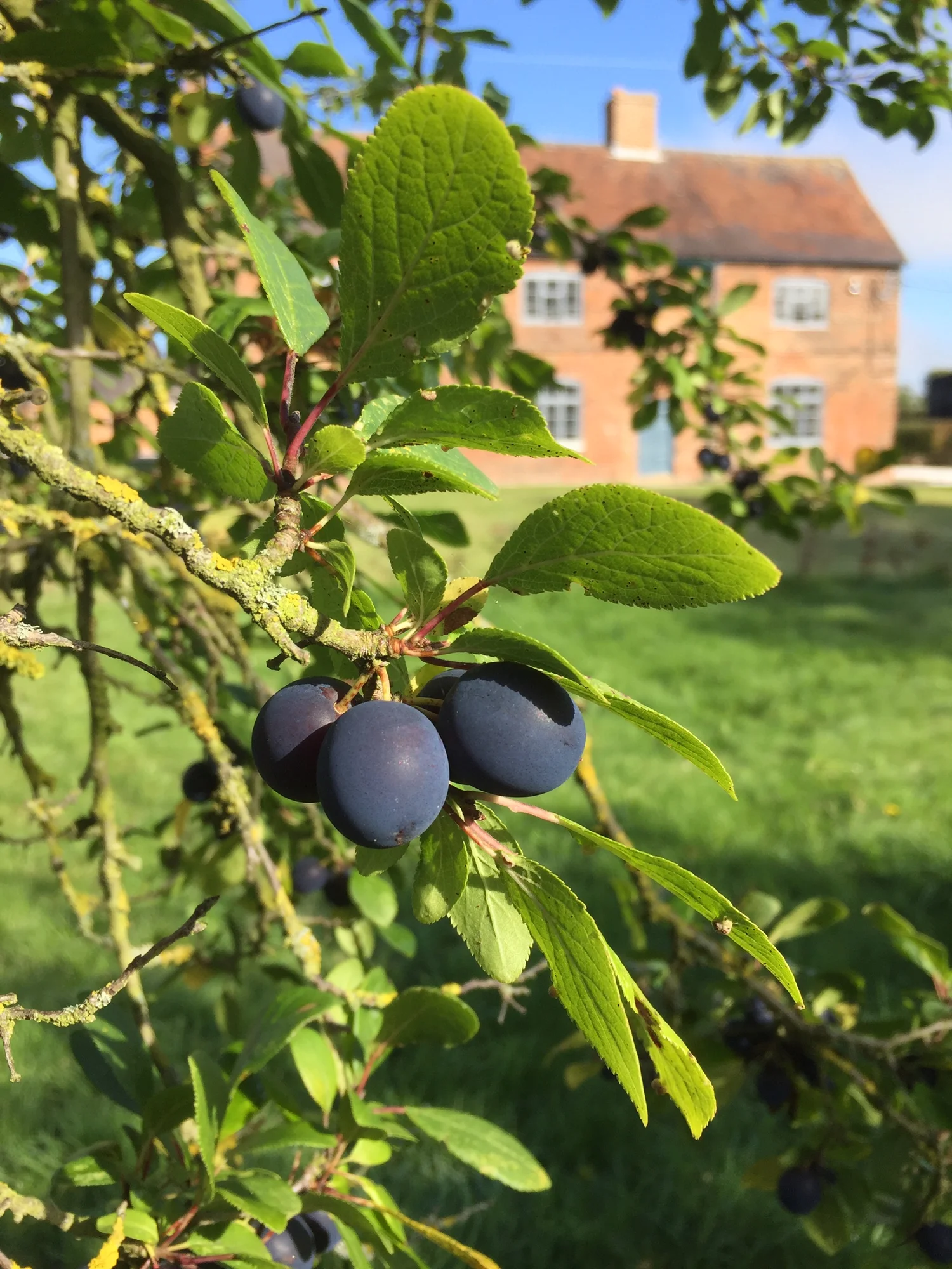 Gallery-Trusley Estate - Derbyshire