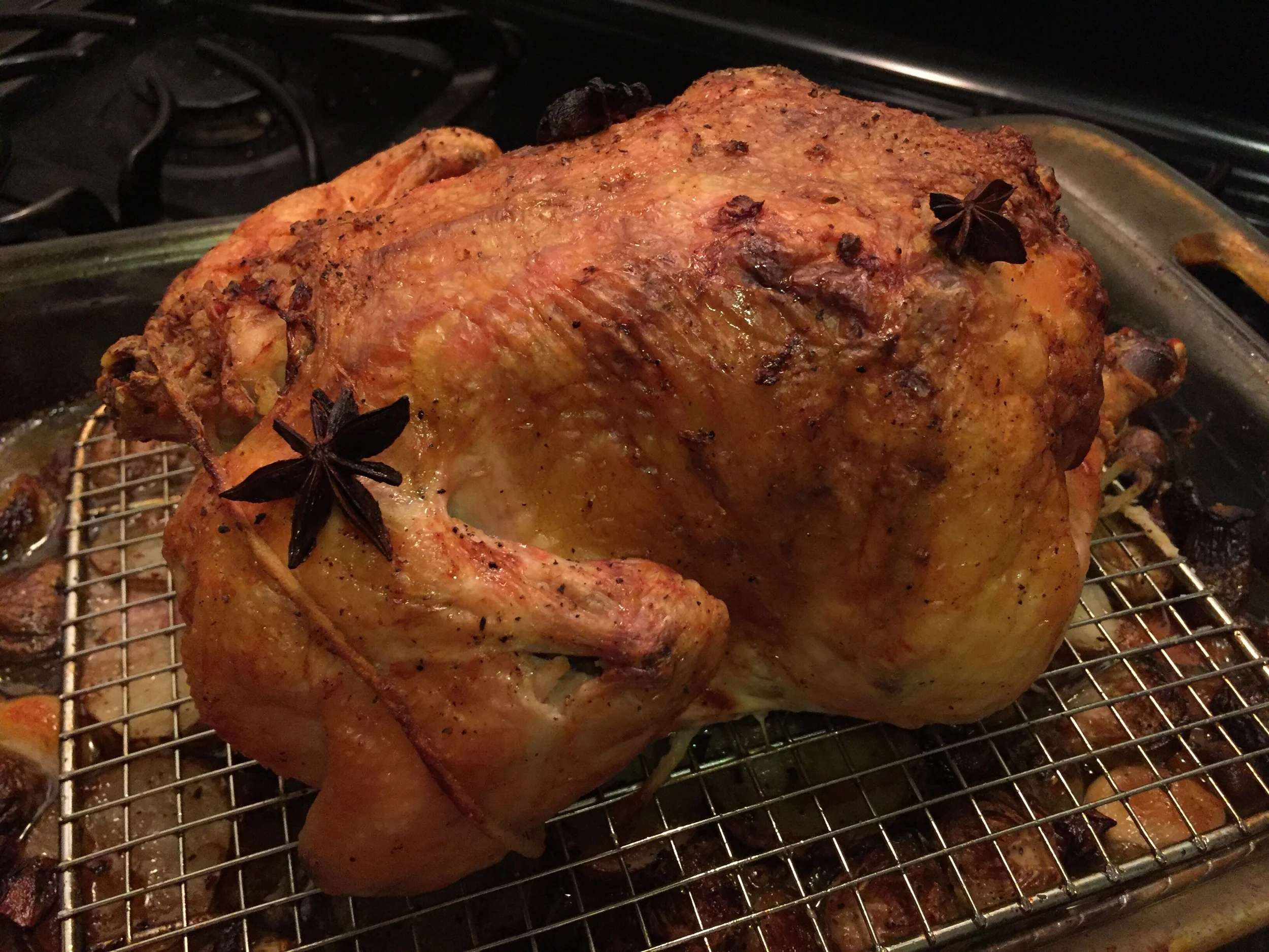 Ginger Anise Chicken — Yanasha's Kitchen