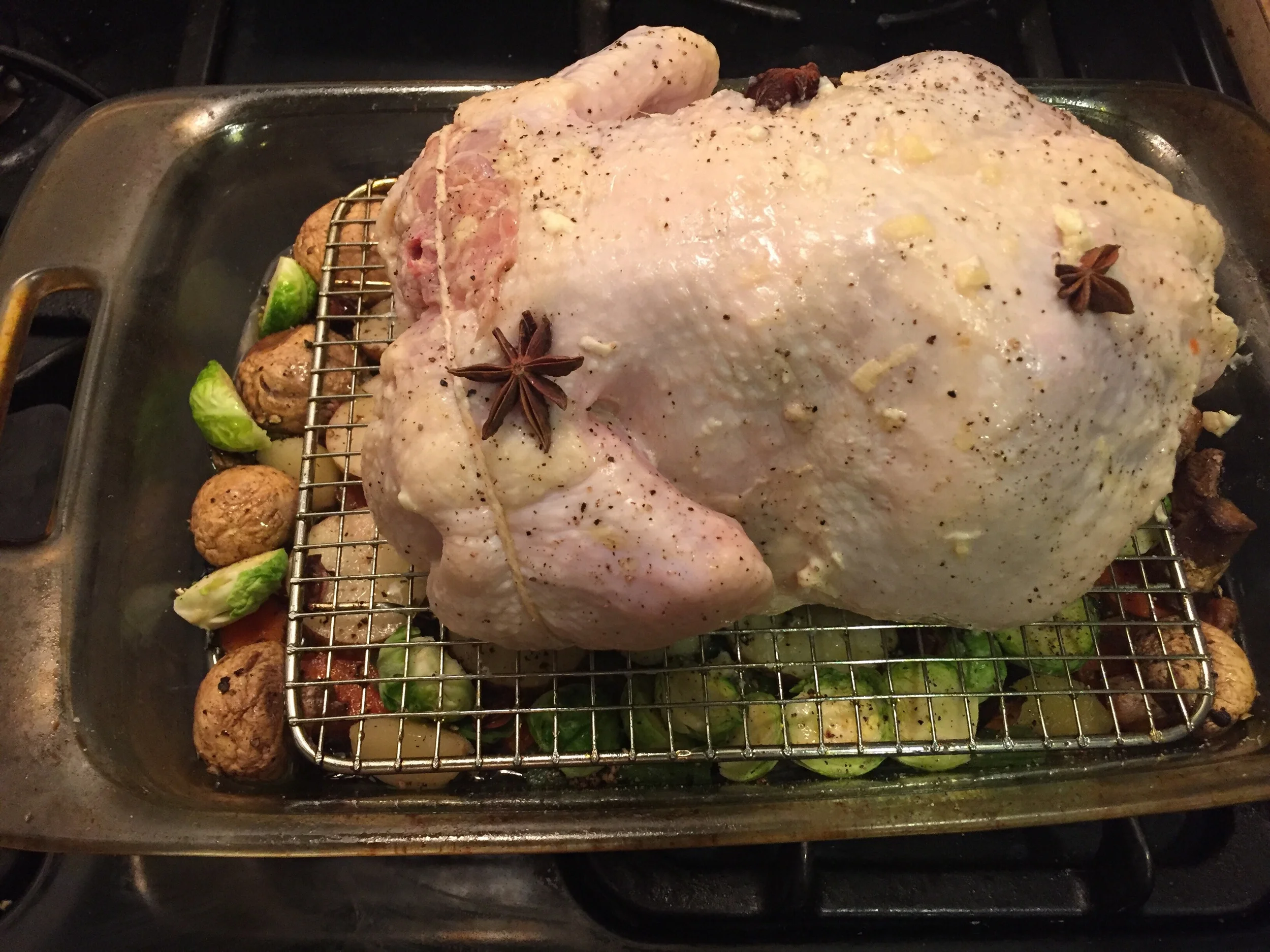 Ginger Anise Chicken — Yanasha's Kitchen