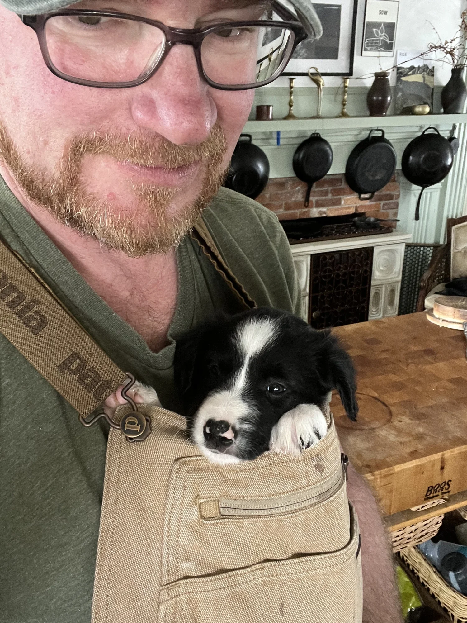 The Pups — Toddy Pond Farm