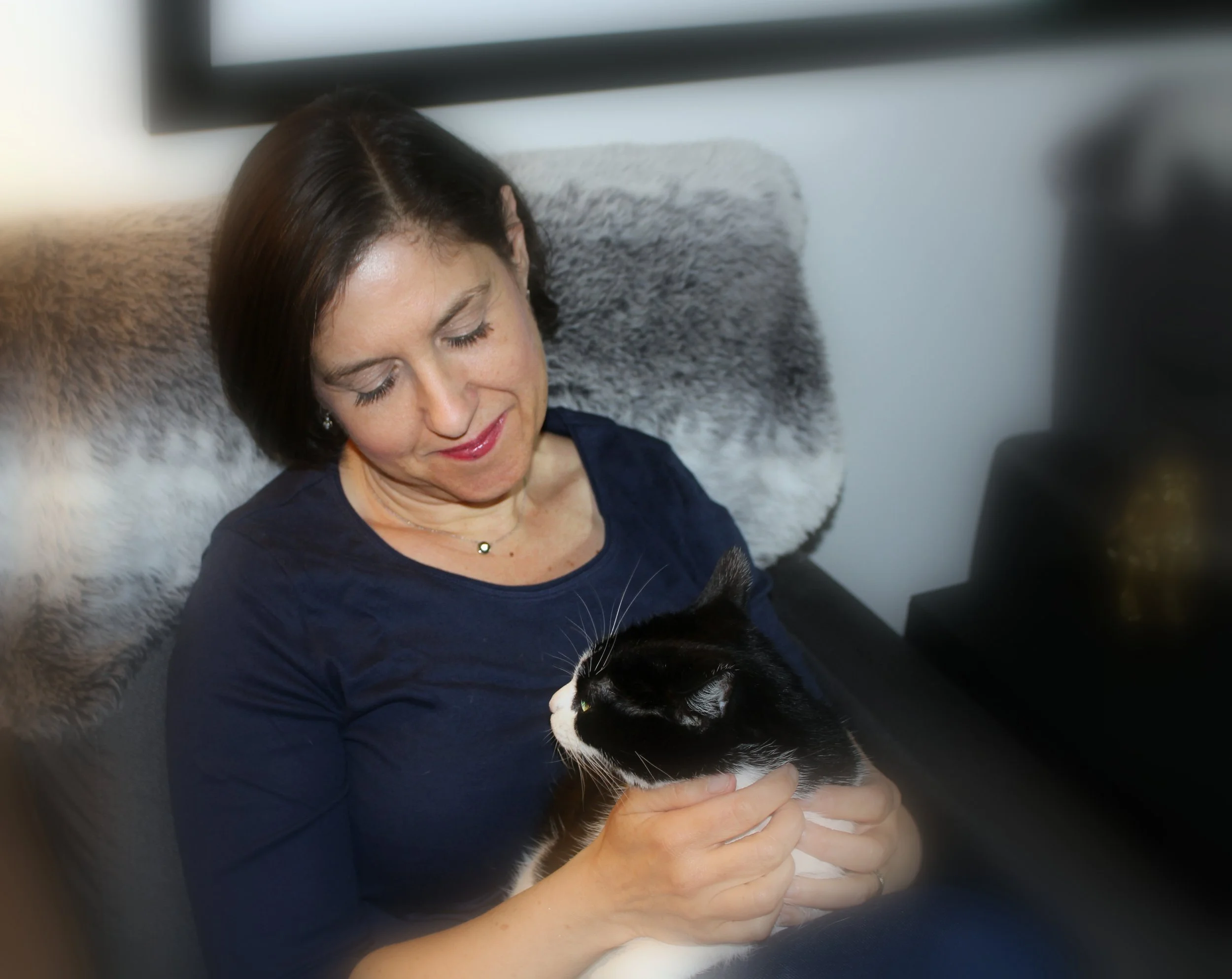 About Toronto Designers — toronto designers