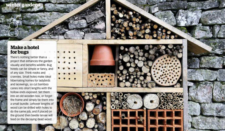Make A Bug Hotel in November — Creature Candy