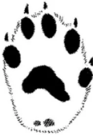 Blog — Creature Candy