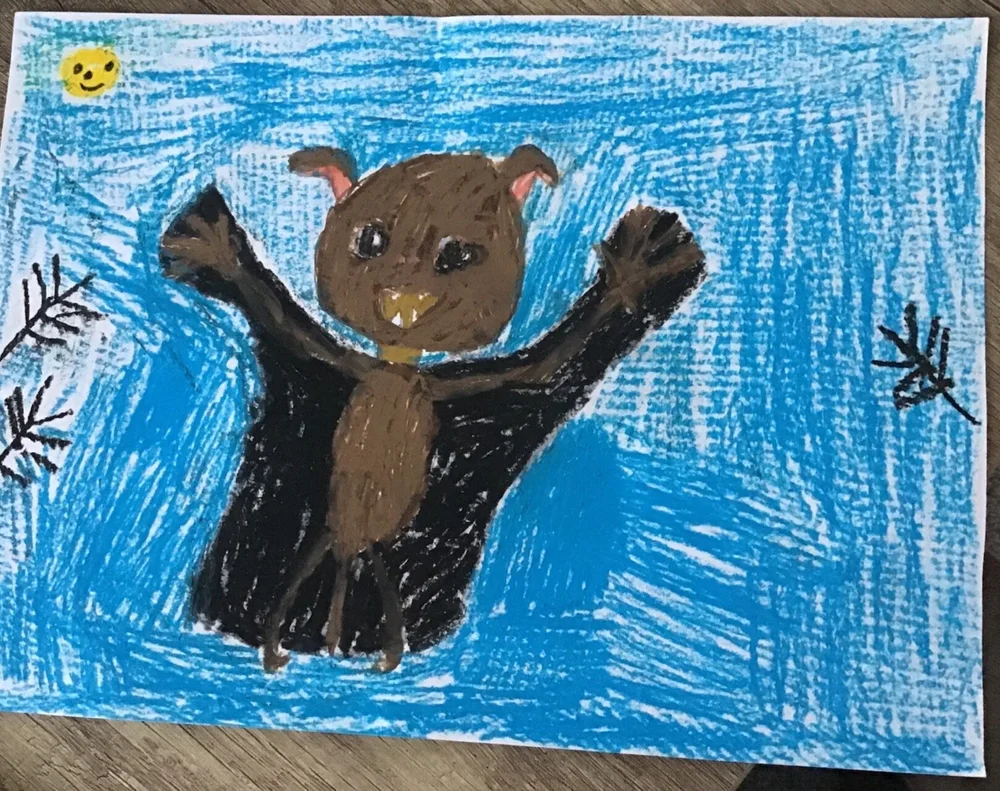 The Importance of Bat Education – engaging young learners in the time ...