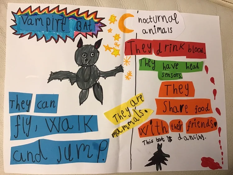 The Importance of Bat Education – engaging young learners in the time ...