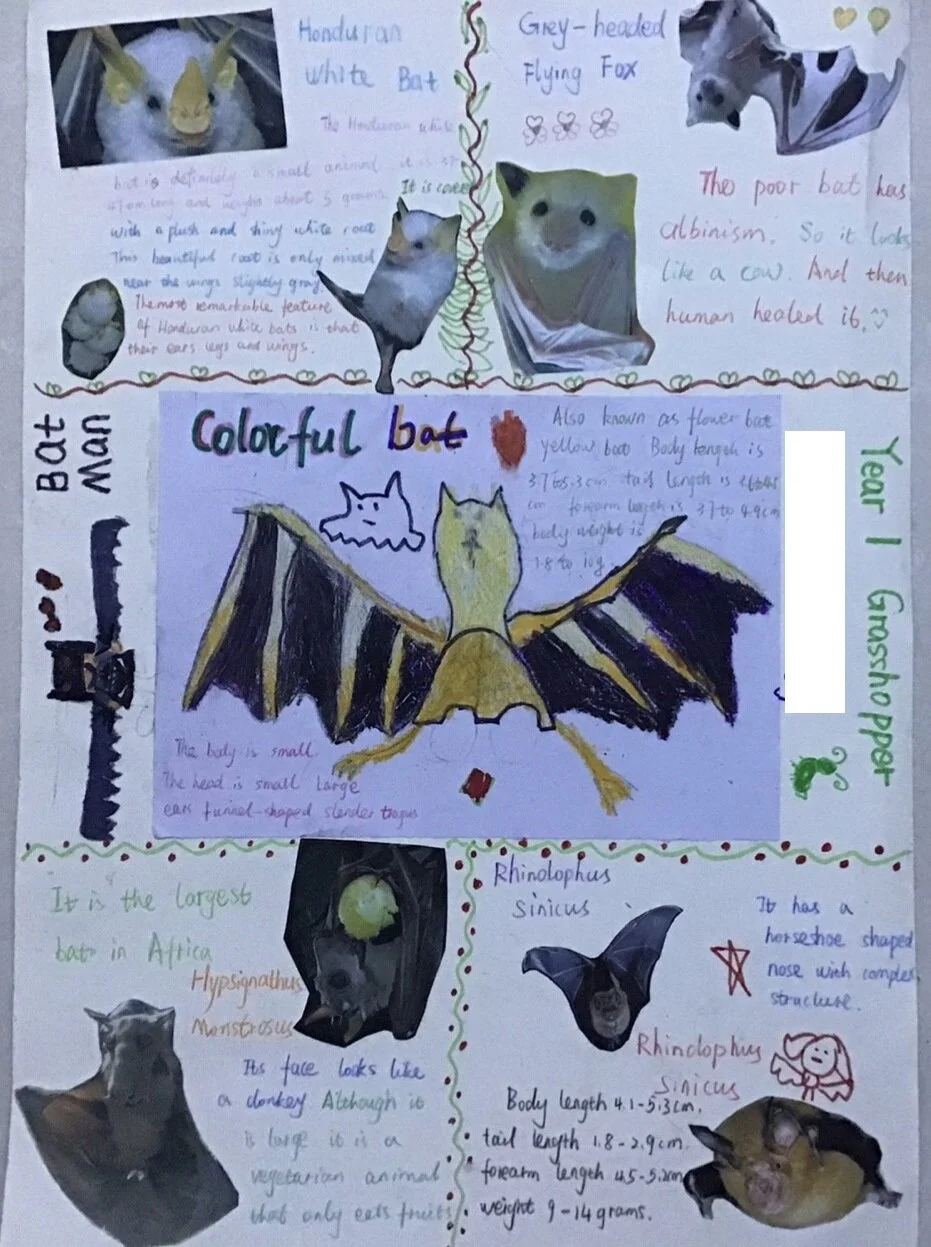 The Importance of Bat Education – engaging young learners in the time ...