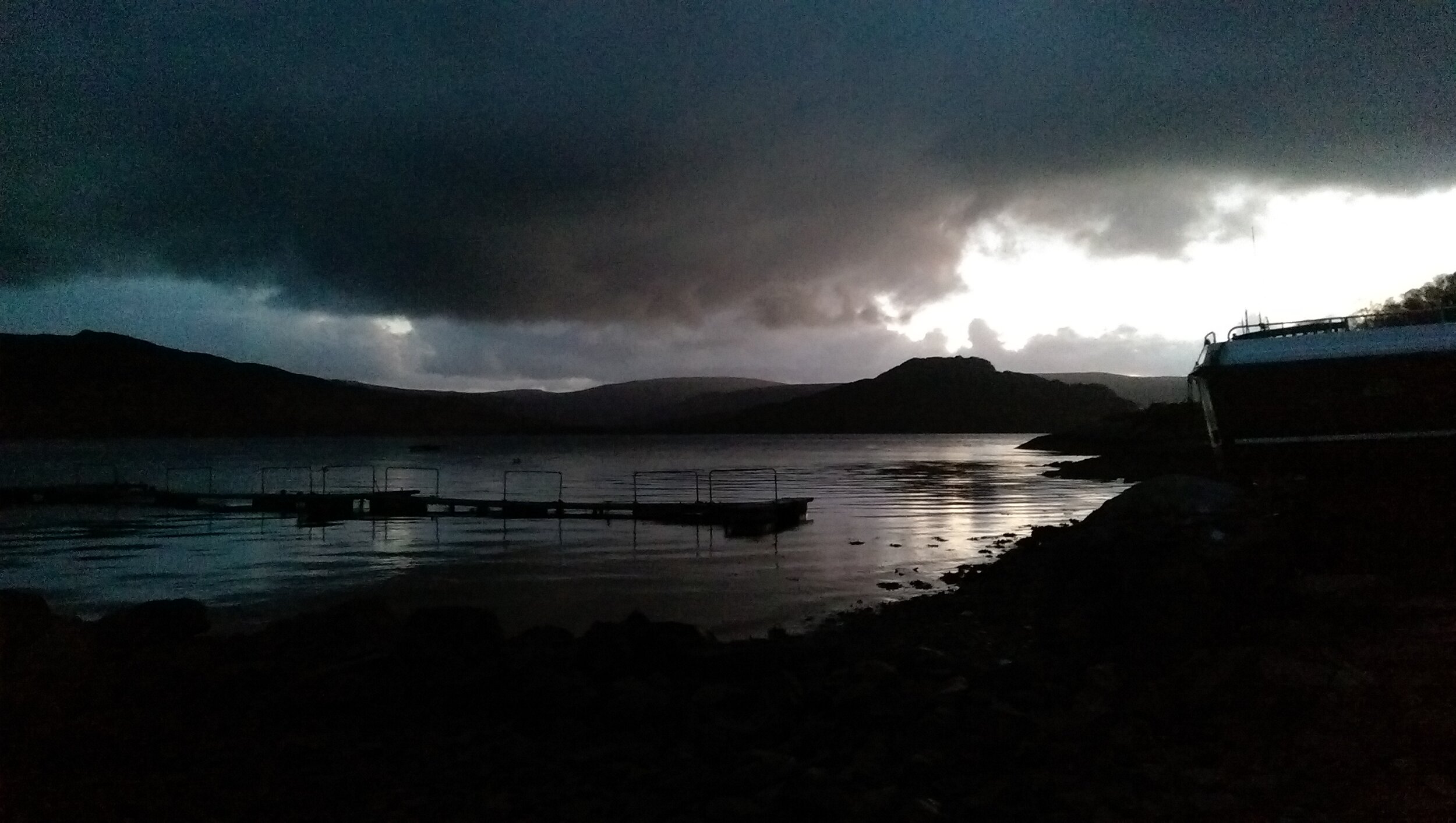 The Scottish Wildcat – Chasing Ghosts — Creature Candy