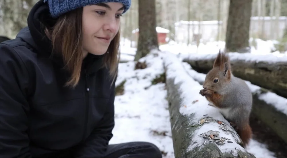 Dani Connor — Creature Candy