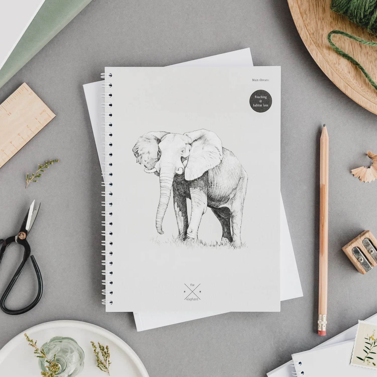 Meet Nina Constable - Wildlife and Conservation Filmmaker — Creature Candy