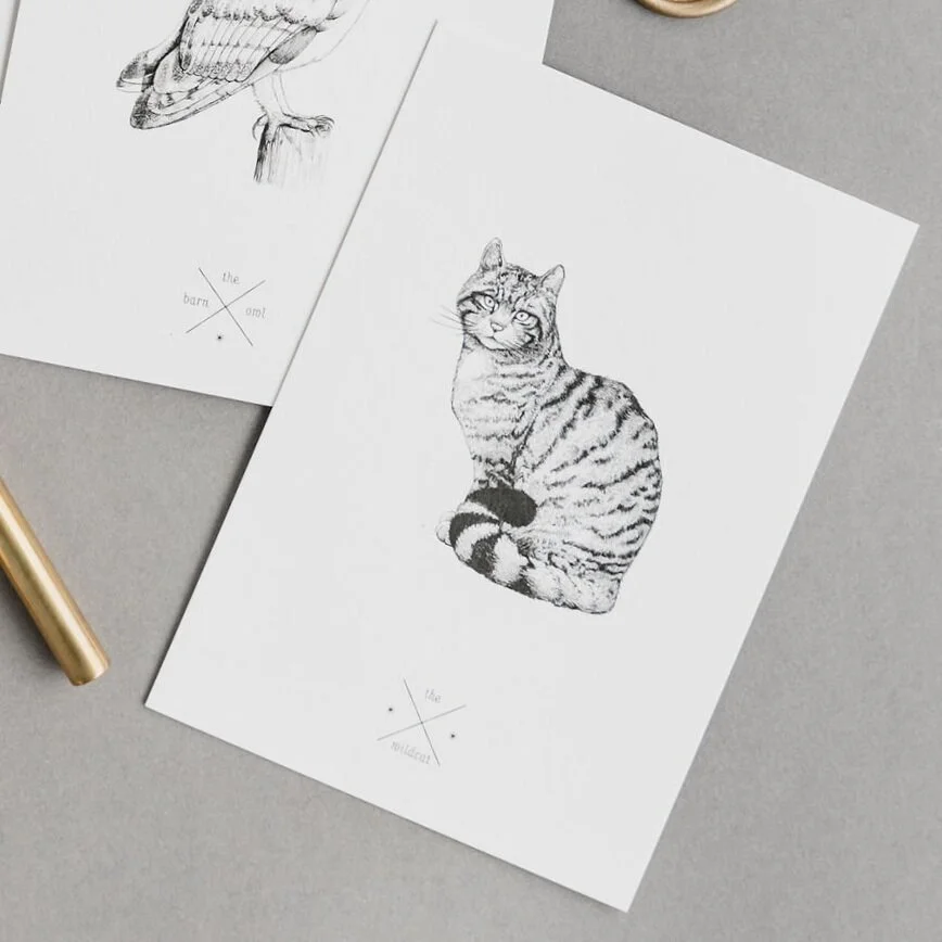 Wildcat Products — Creature Candy