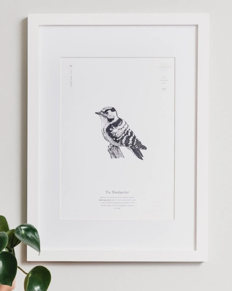 Blog — Creature Candy