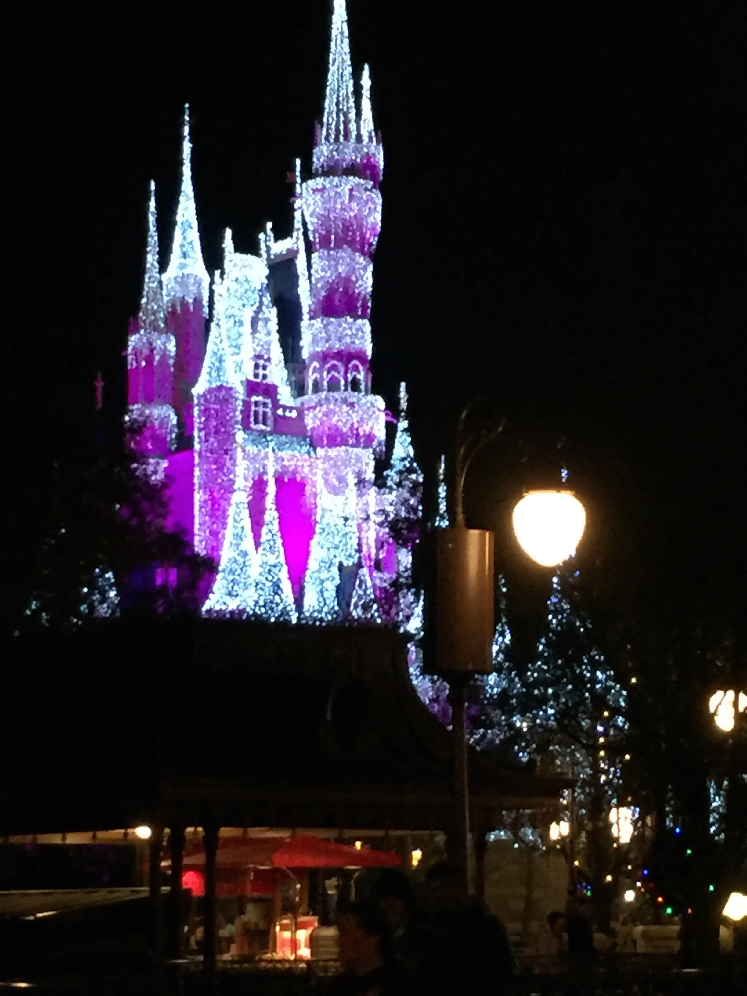 30th Birthday Disney World Trip Report — Pink Glitter Pumpkins