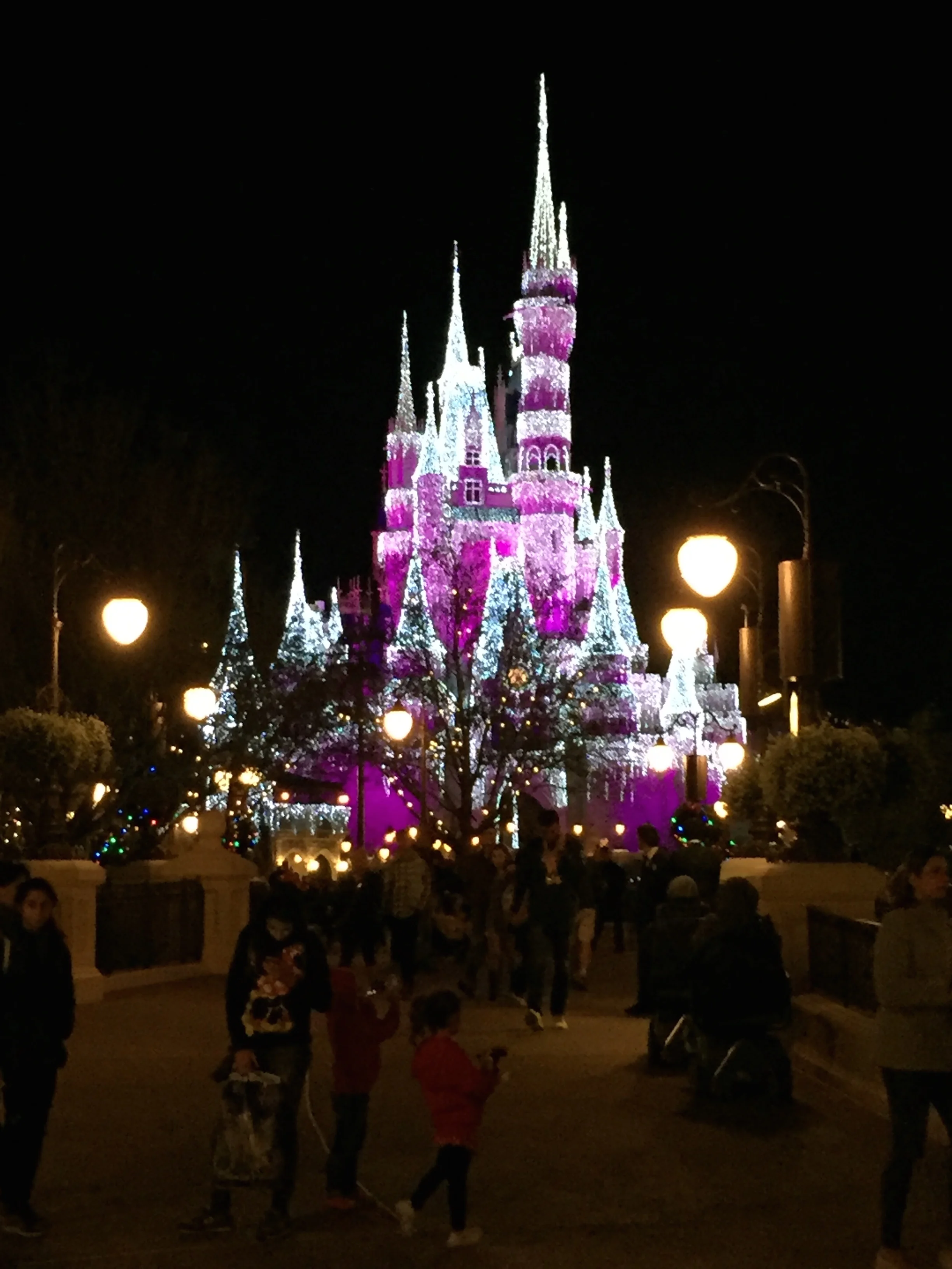 30th Birthday Disney World Trip Report — Pink Glitter Pumpkins