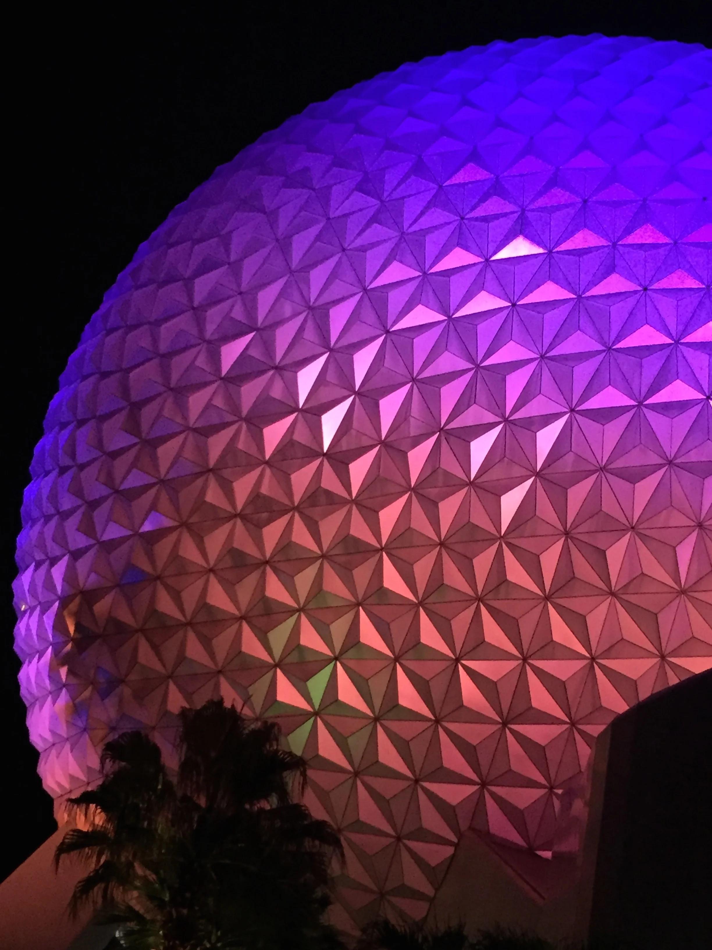 30th Birthday Disney World Trip Report — Pink Glitter Pumpkins