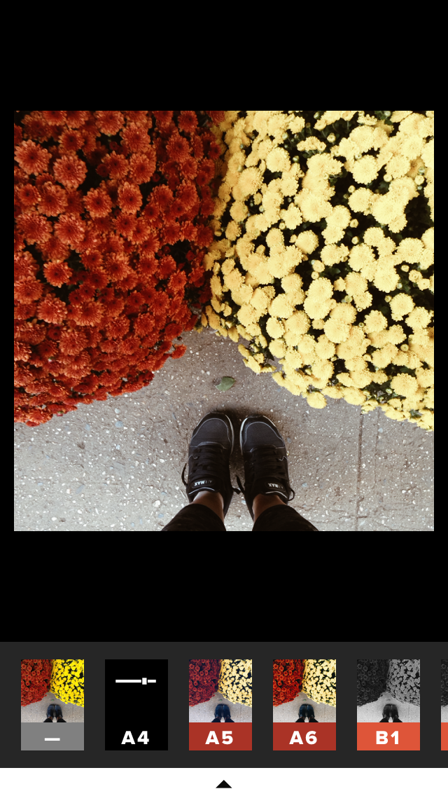 FAVORITE VSCO FILTERS FOR EVERY OCCASION — The Paper Curator