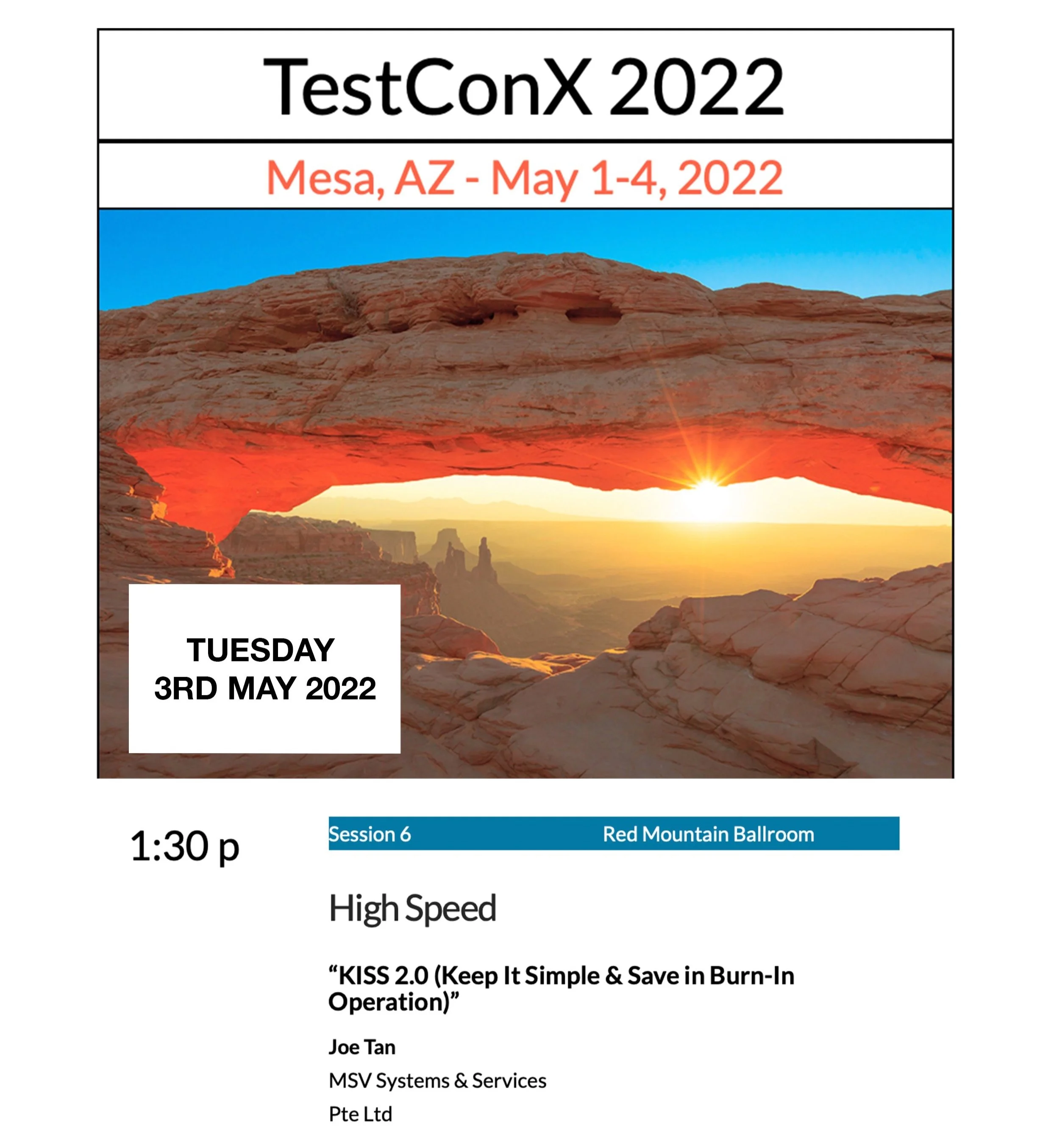 MSV Systems & Services