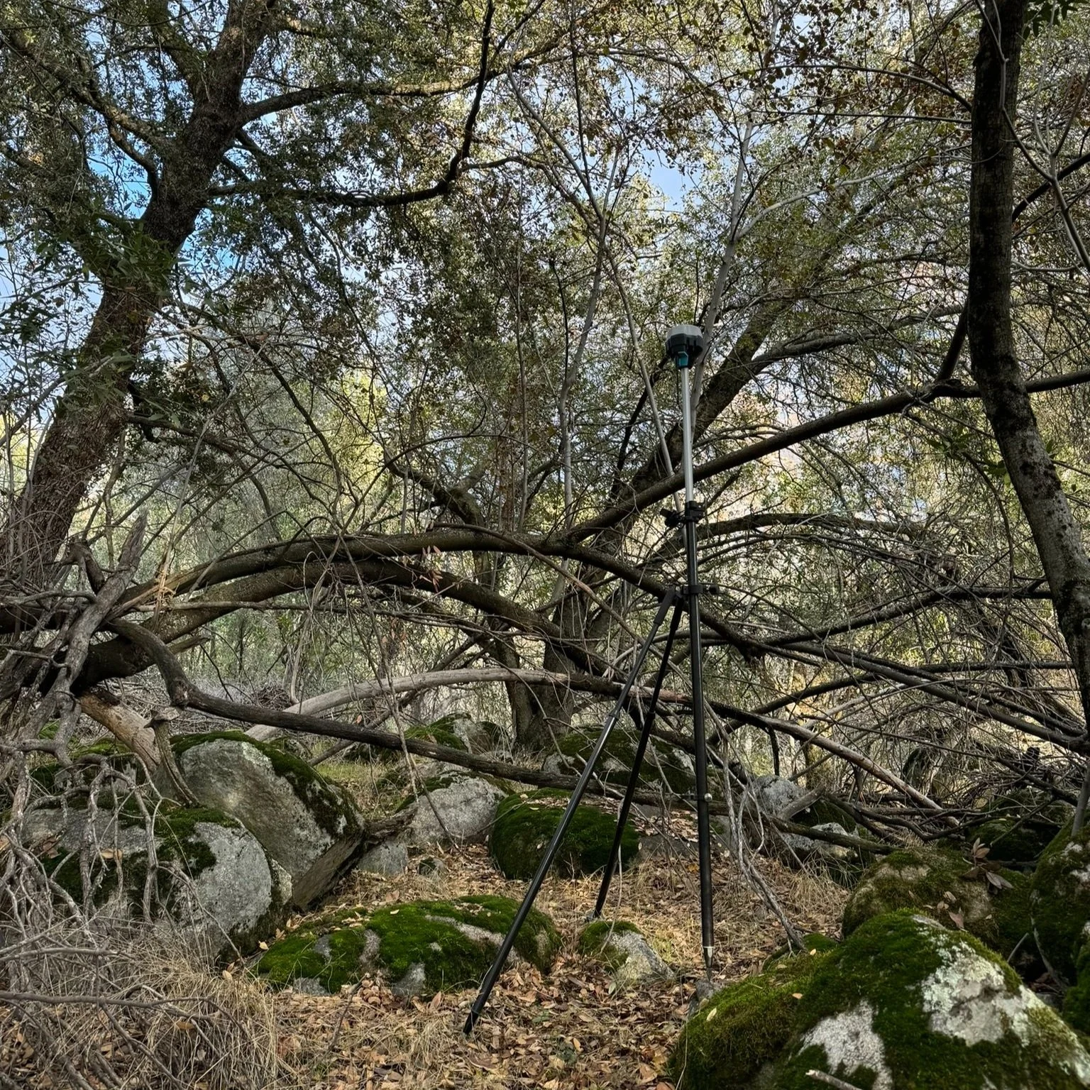 Processing DJI L2 Data | Drone Data Processing