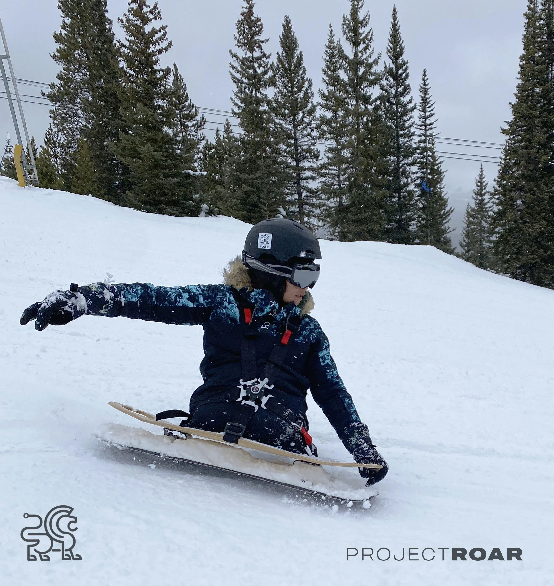 Inside the Org: Project ROAR with Dani Lipsky — Roarockit