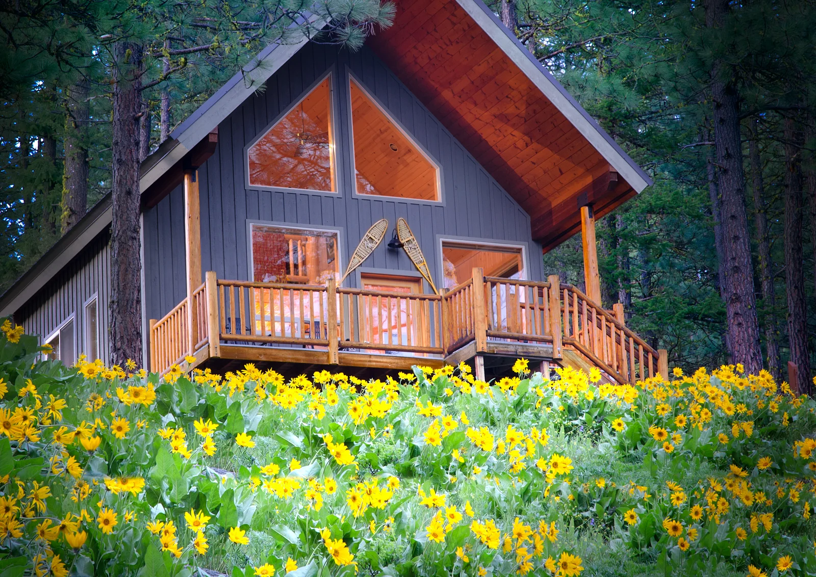Mountain Home Lodge-Spring Images