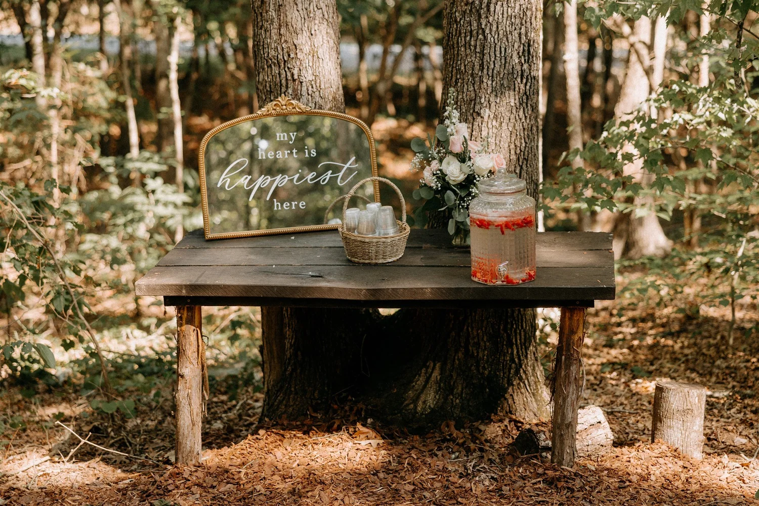 Forest Wedding Venues — Carolina Country Weddings