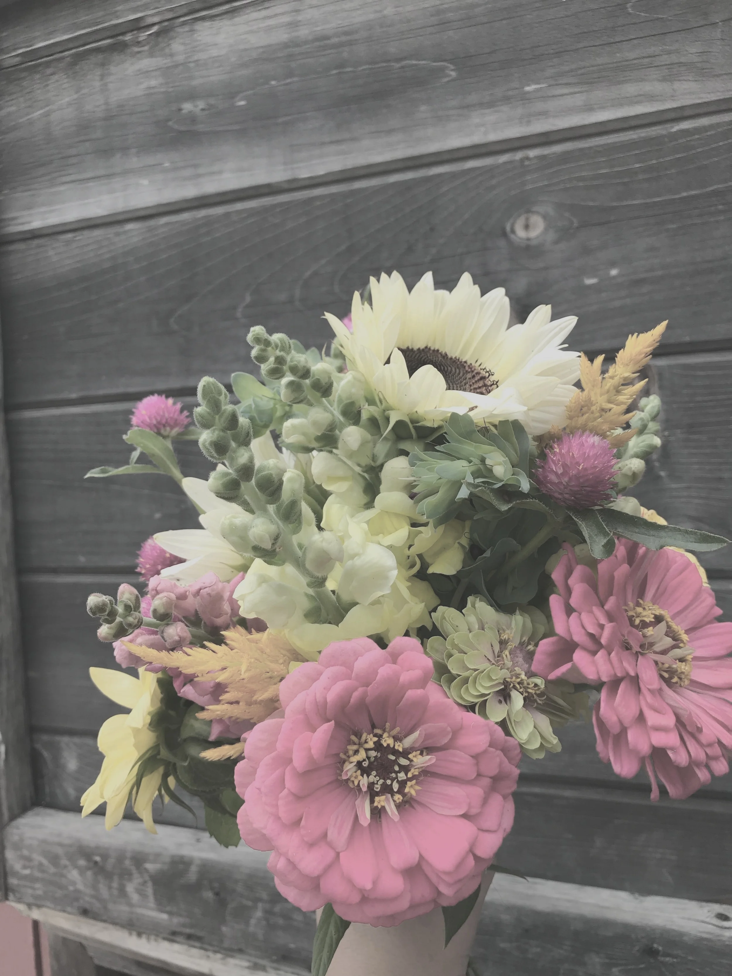 Farm-Fresh Flowers — Titus Farms