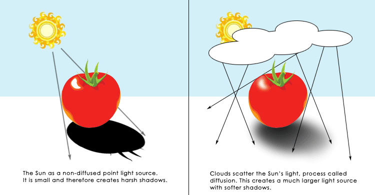 9 Popular Studio Light Modifiers Explained — EpicMind Studio