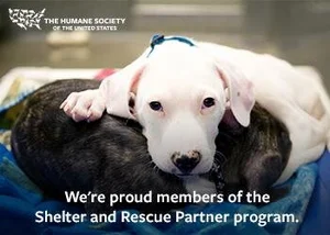 Heartland Small Animal Rescue, Inc.