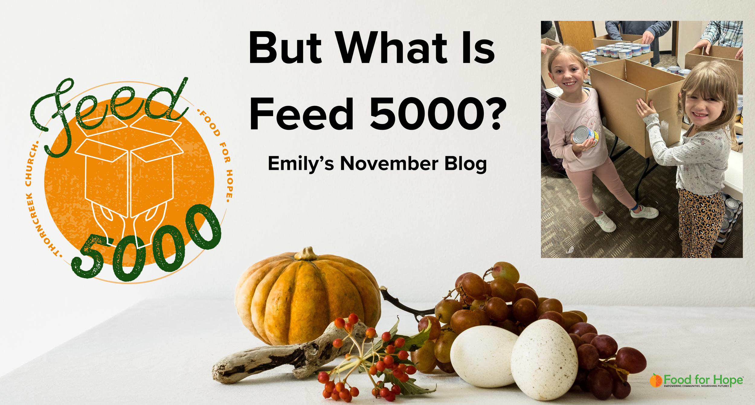 How do we Feed 5000? — Food for Hope