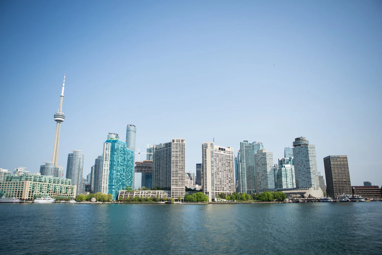 Toronto — Pirate Life