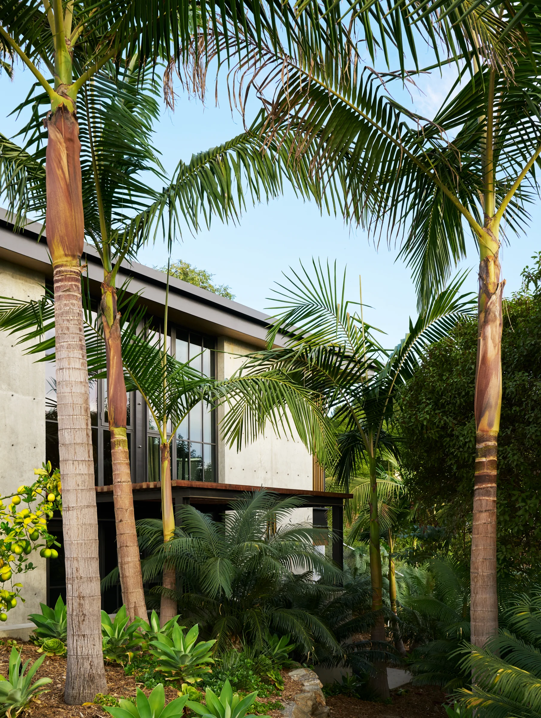 Hollywood Hills House — KEVIN SCOTT