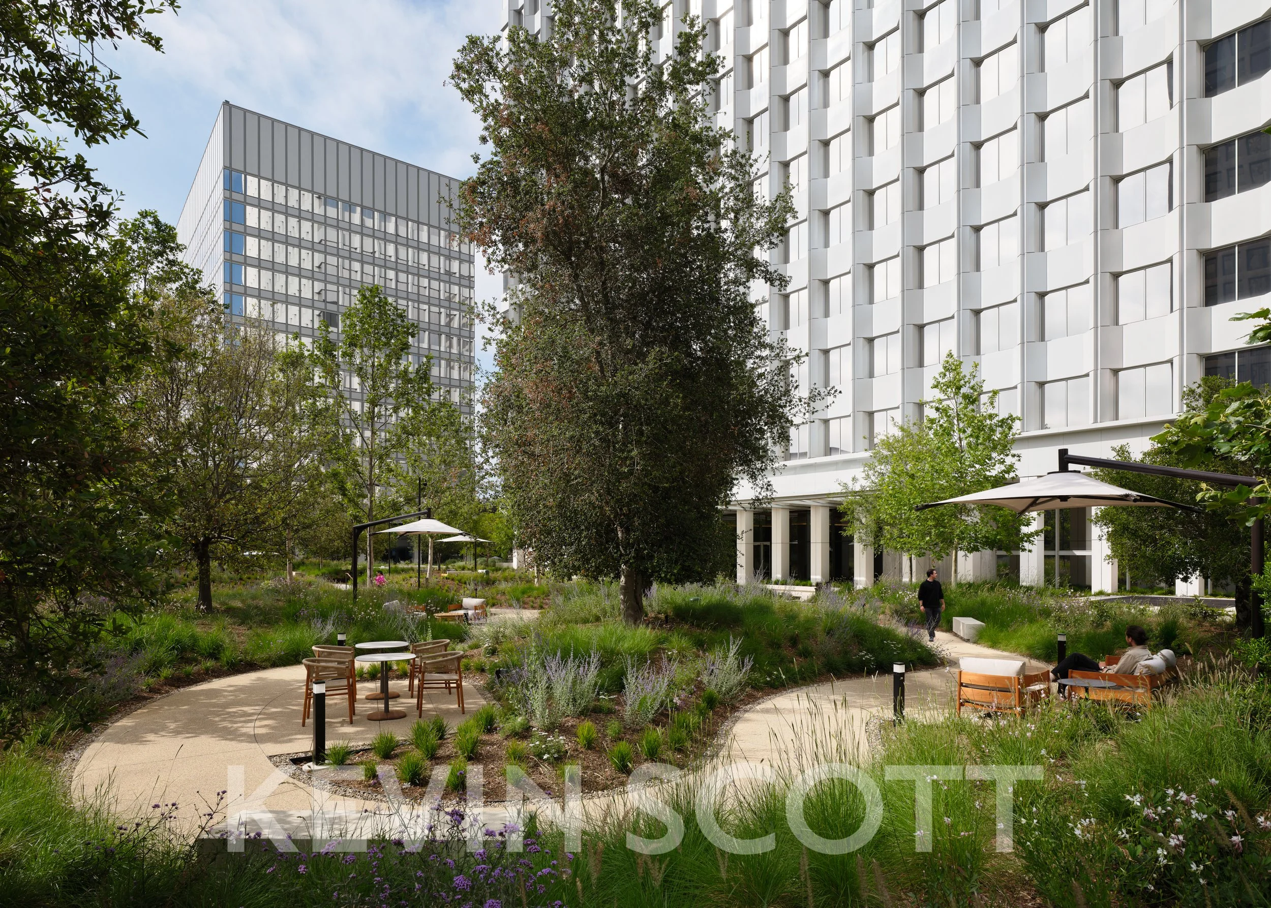 Anderson Towers — KEVIN SCOTT