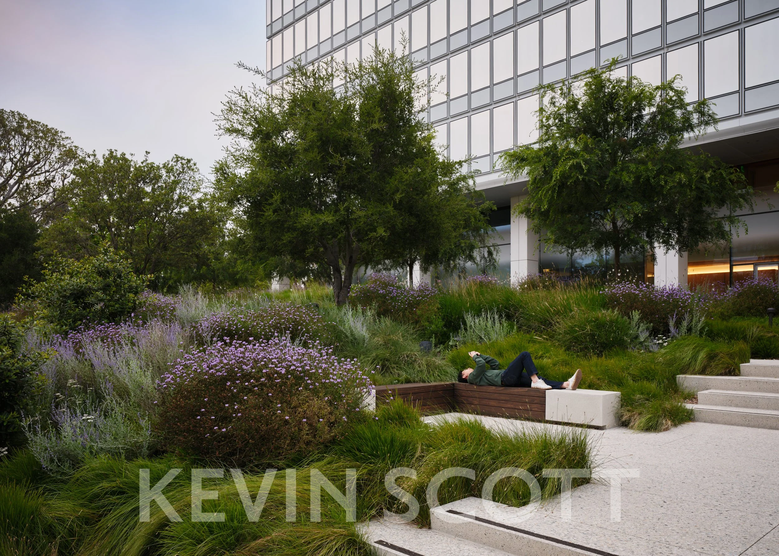Anderson Towers — KEVIN SCOTT