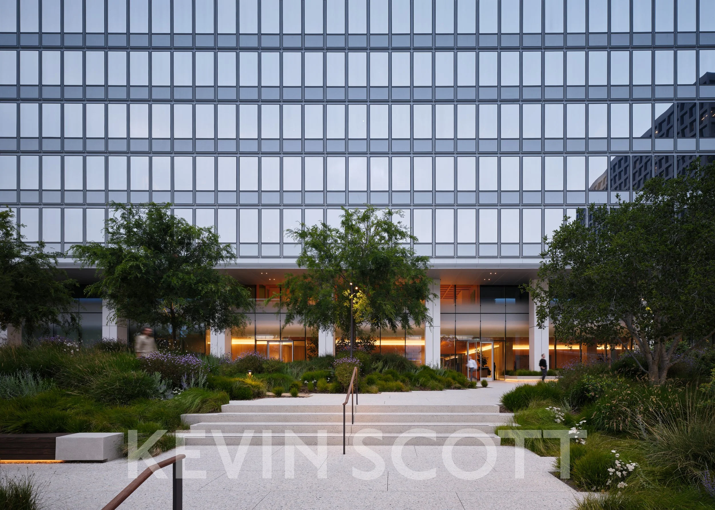 Anderson Towers — KEVIN SCOTT