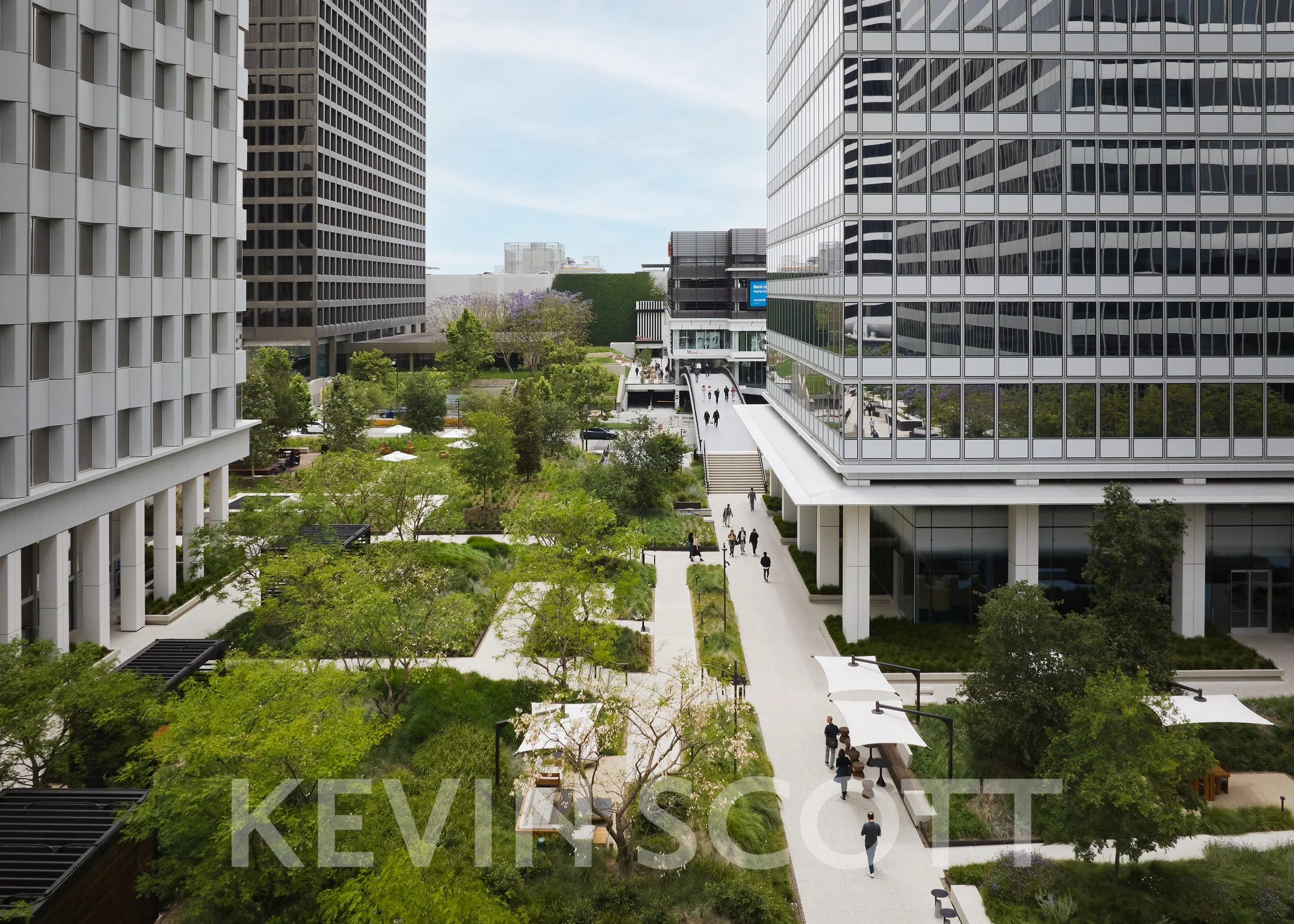 Anderson Towers — KEVIN SCOTT