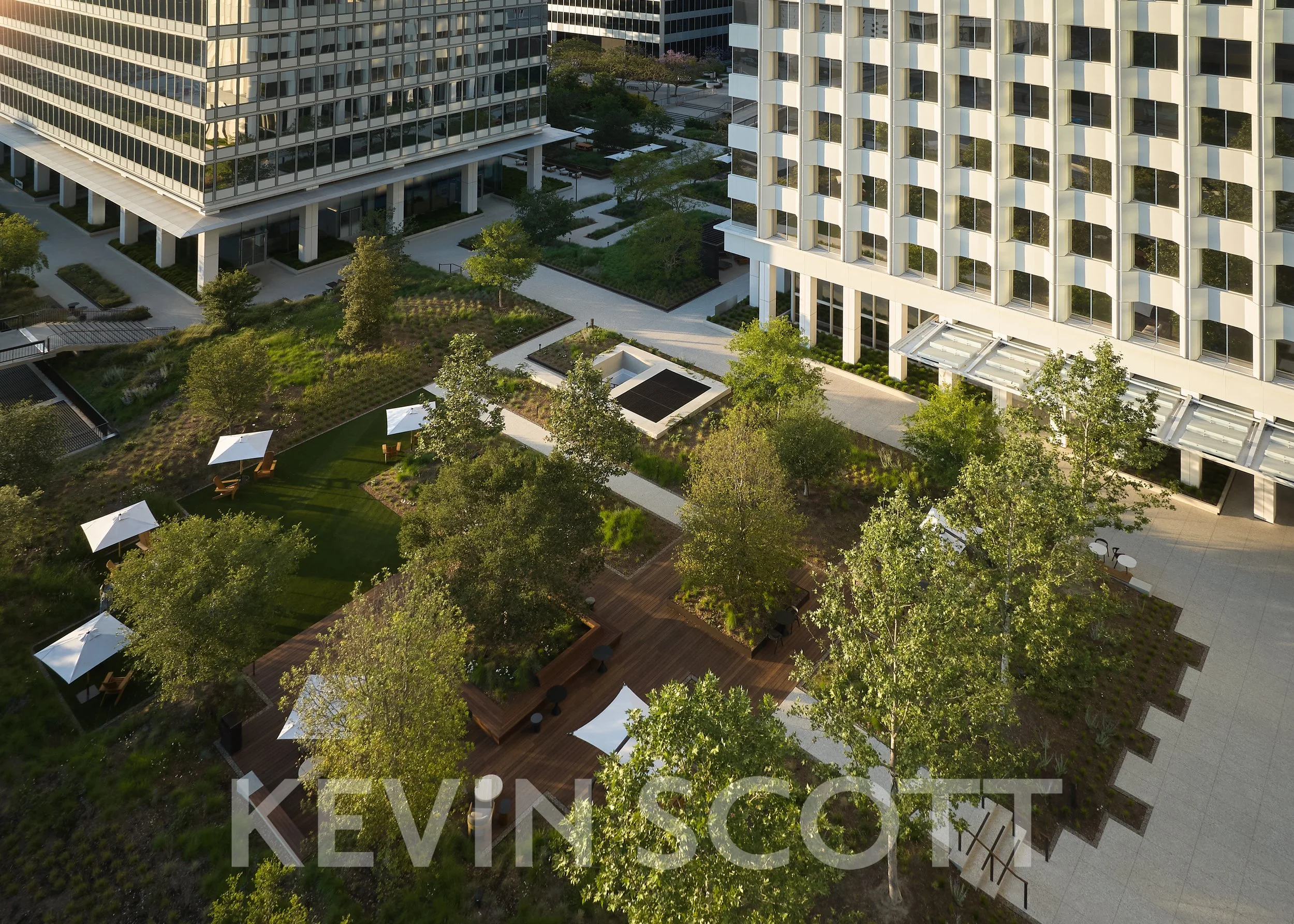 Anderson Towers — KEVIN SCOTT