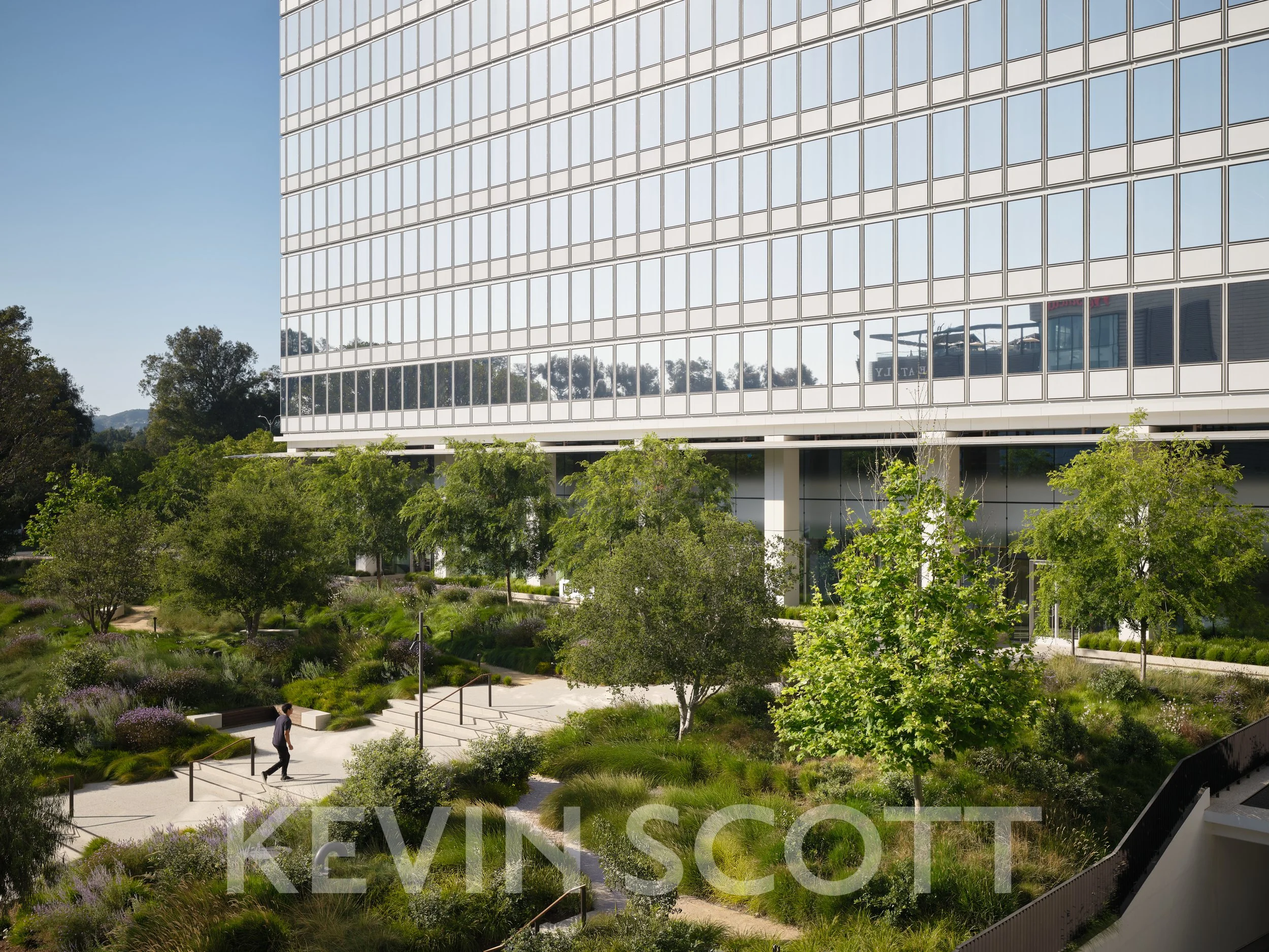Anderson Towers — KEVIN SCOTT