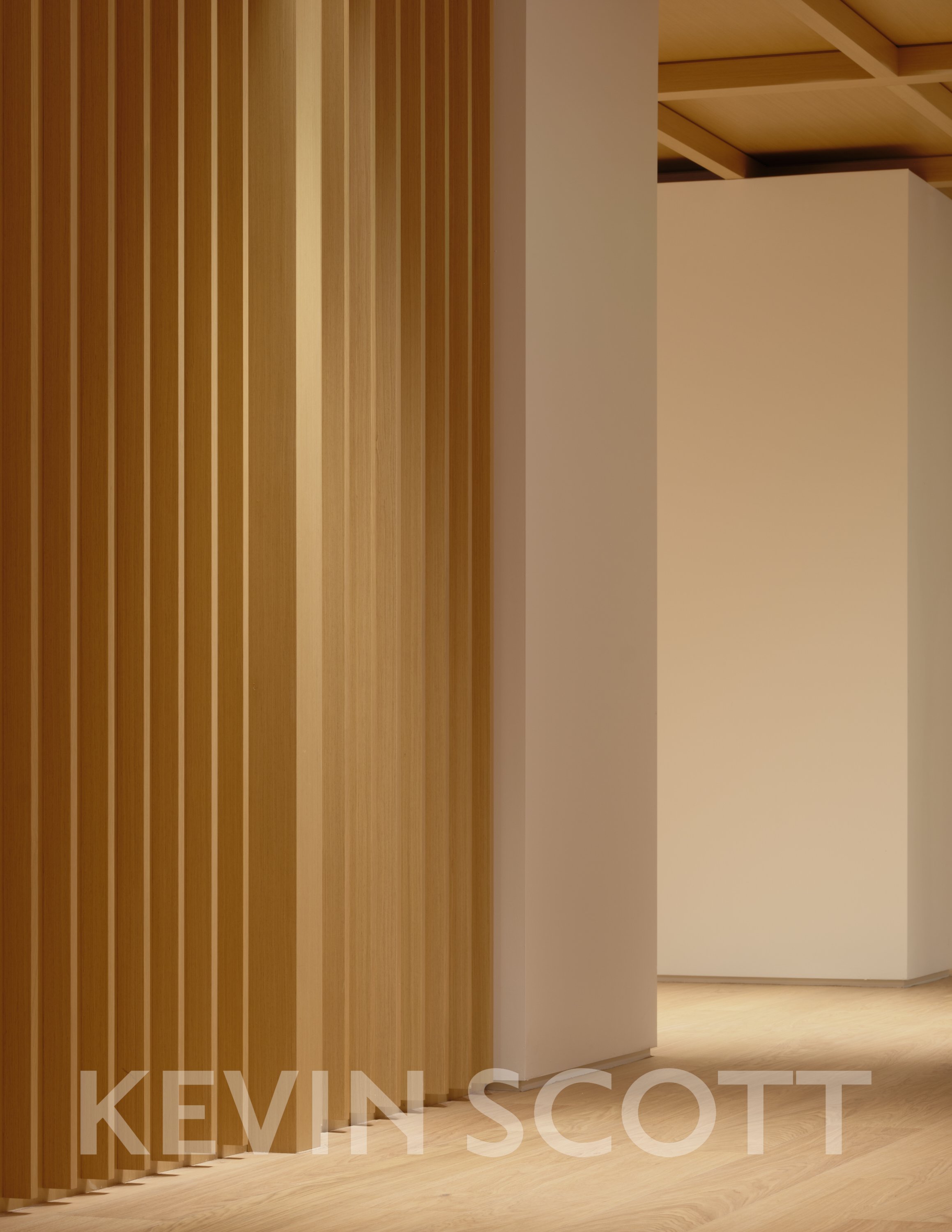 Anderson Towers — KEVIN SCOTT