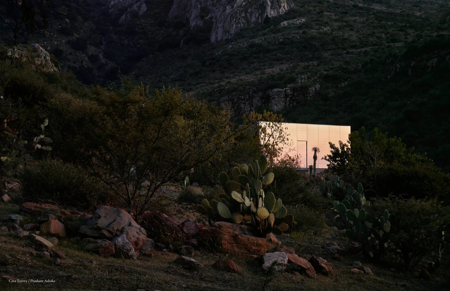Selected Work — KEVIN SCOTT