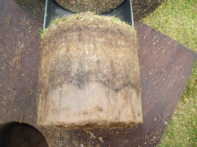 Problem Solving — TERRALIFT AUSTRALIA